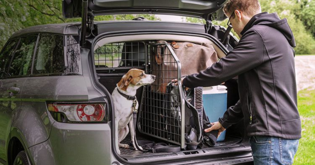 German Social Media Marketing for Travall