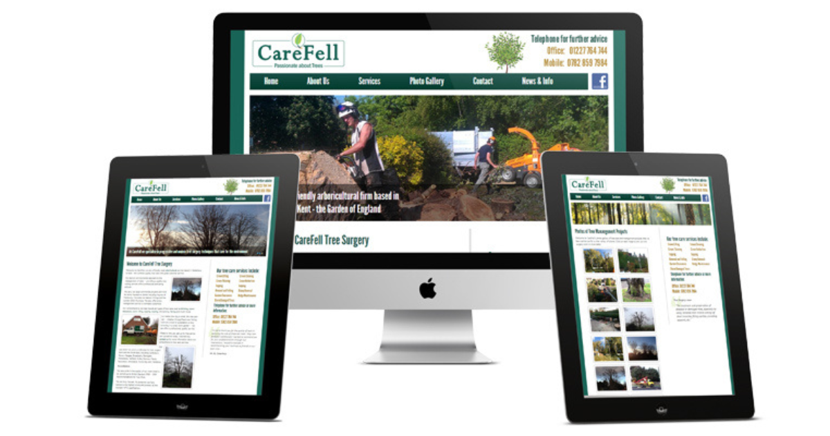 Web Design Case Study - Tree Surgeon